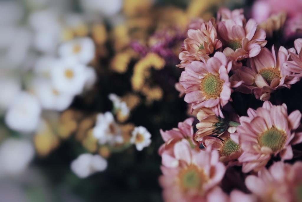 The Garden Collection. – The Hills. Signature Collection